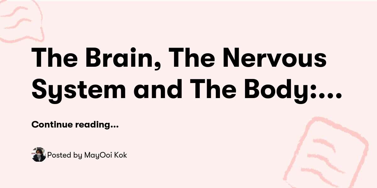 The Brain, The Nervous System and The Body: Input-Process-Output (Part ...