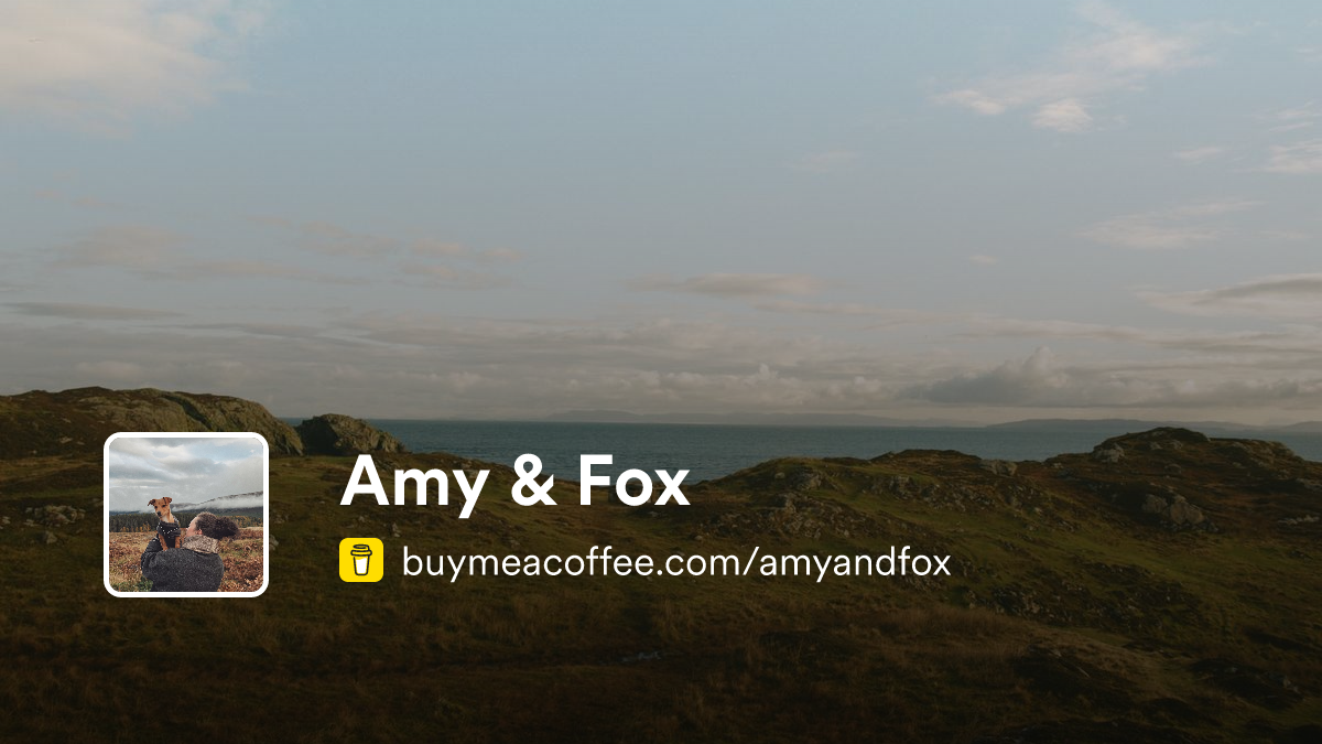 Amy & Fox - Buymeacoffee
