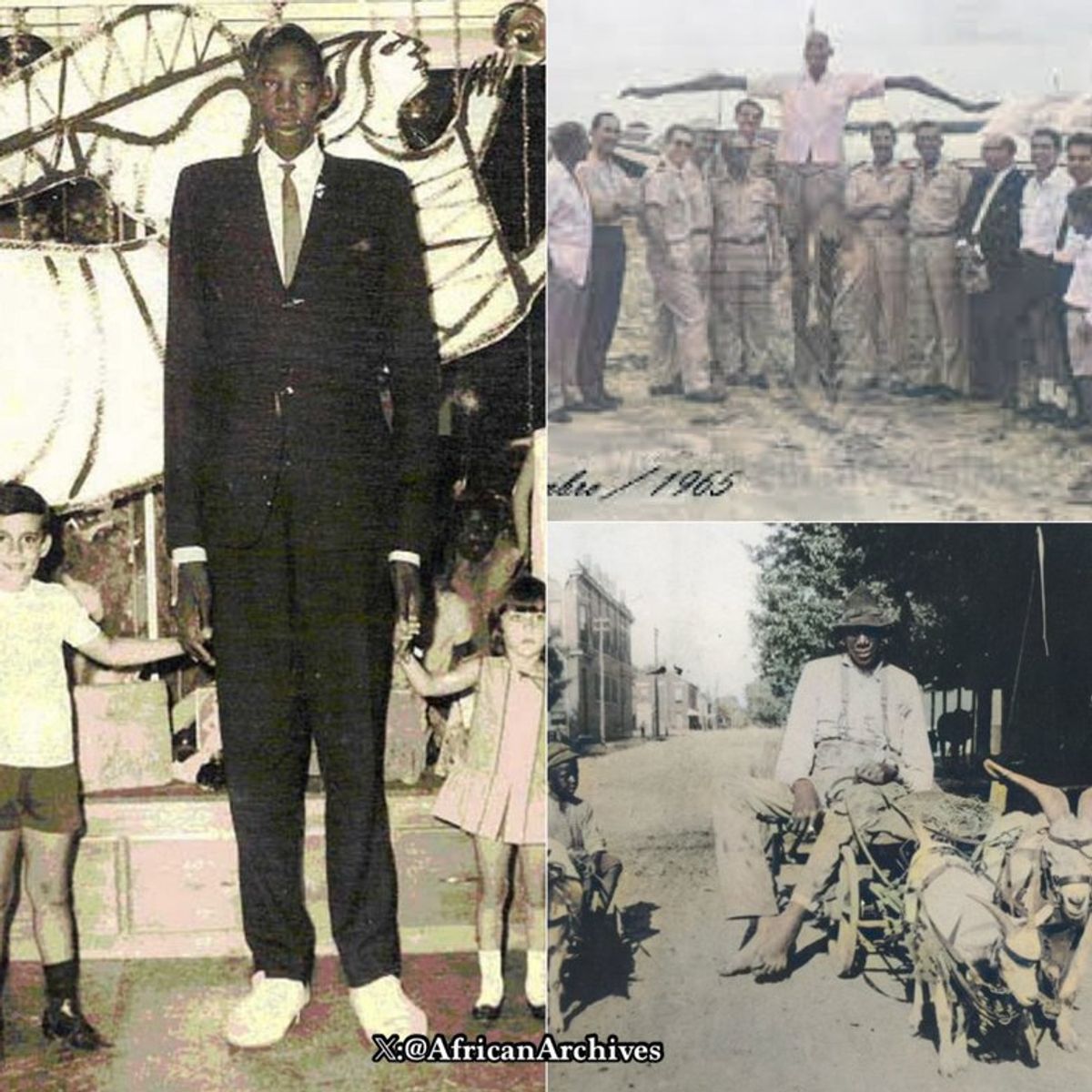 John William "Bud" Rogan, the tallest man of African descent ...