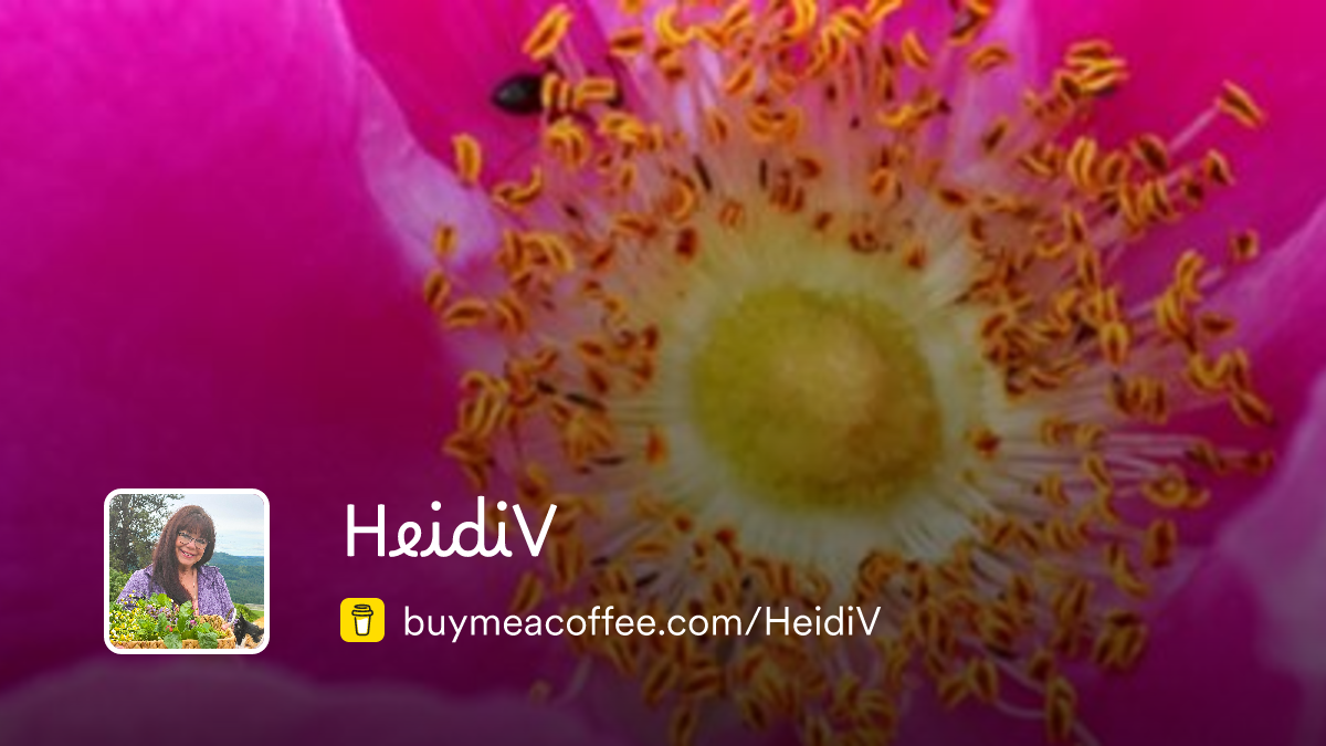 HeidiV is creating beautiful botanical journeys and natural life for ...
