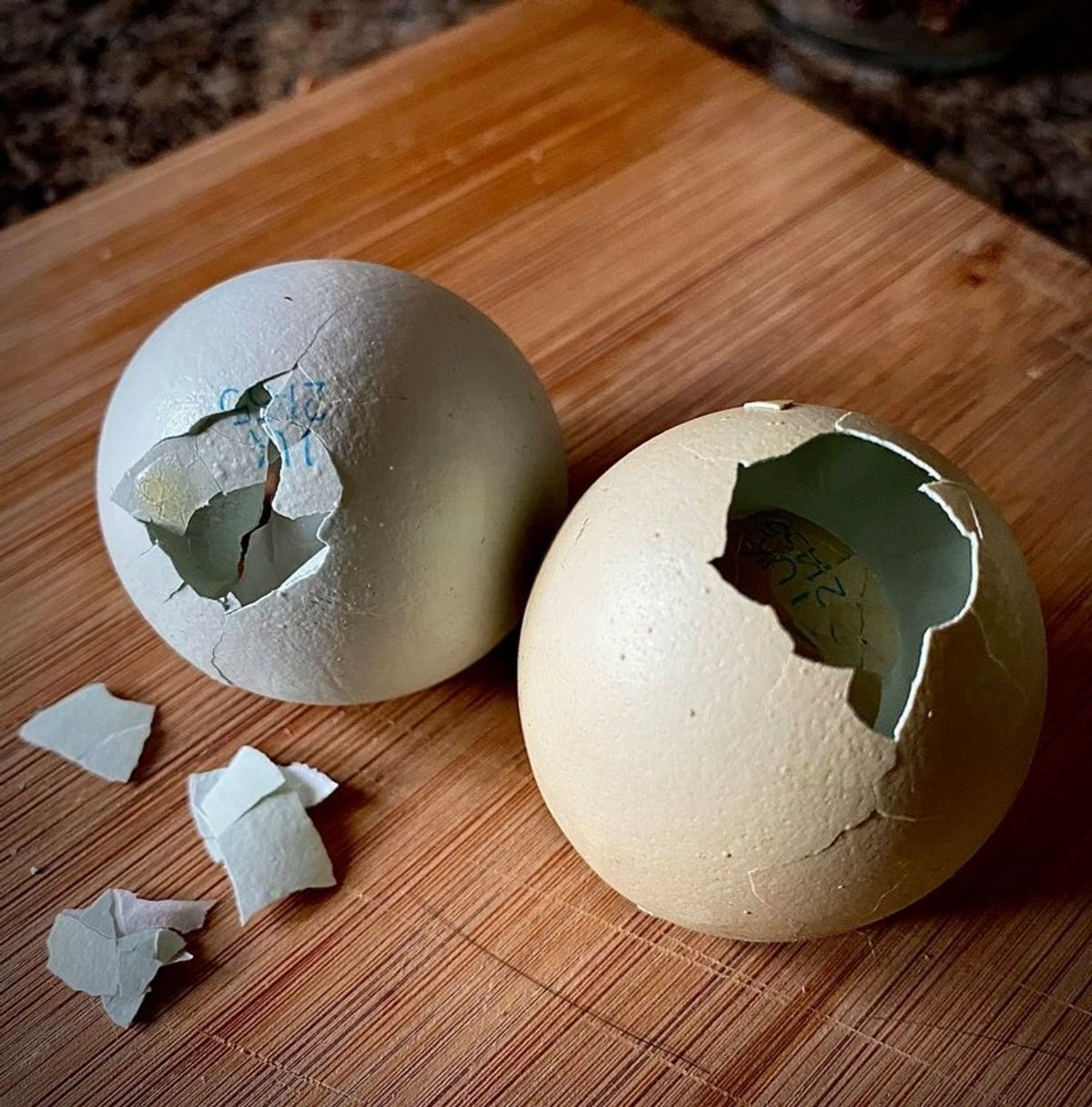 Save the Eggs from the Witches! — The Time Travelling Cook - Buymeacoffee