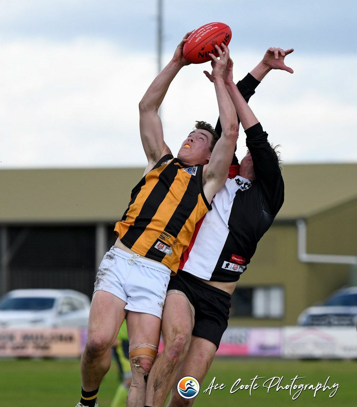 The Tigers seal the double chance — Matthew Beggs - Buymeacoffee