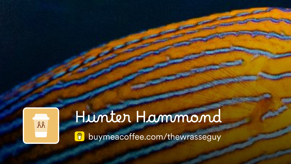 Hunter Hammond is authoring various articles about keeping wrasses in ...