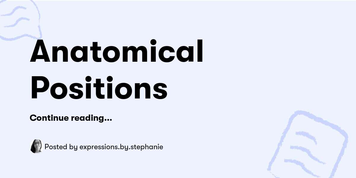 Anatomical Positions — expressions.by.stephanie - Buymeacoffee