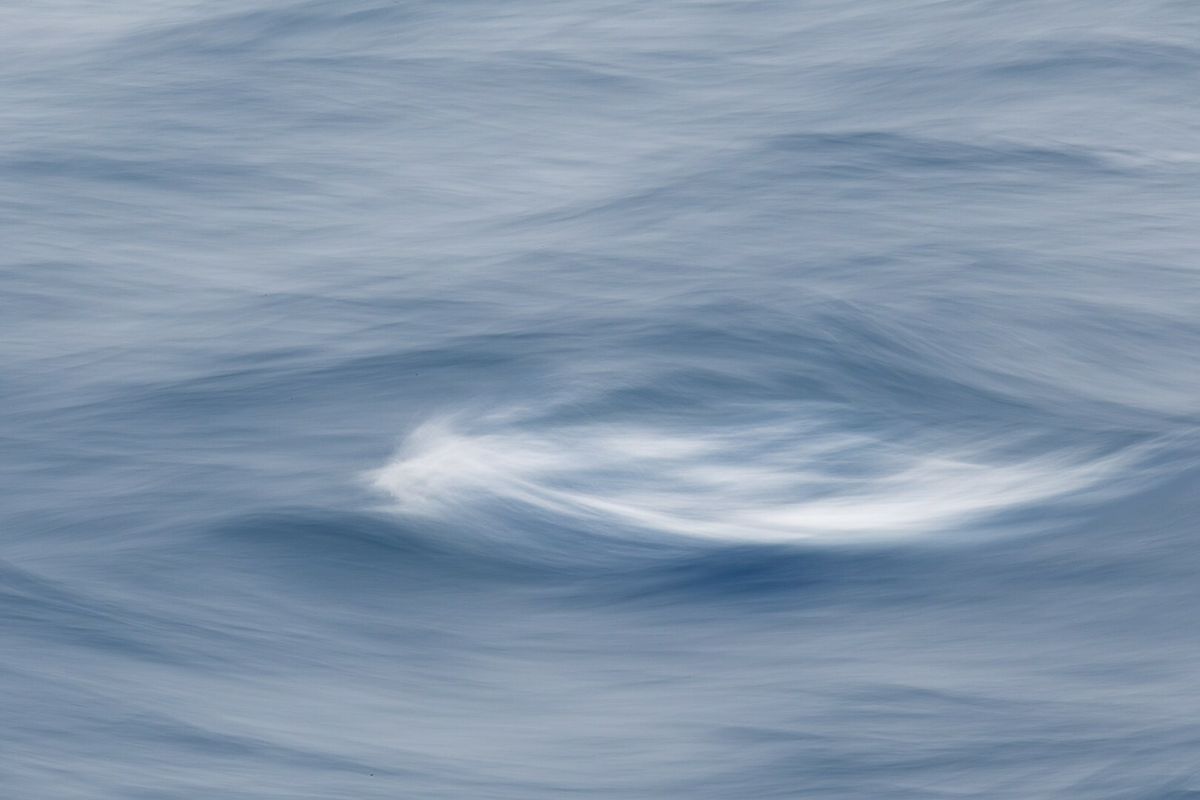 Common Shutter Speed Mistakes and How to Avoid Them — Lauri Novak ...