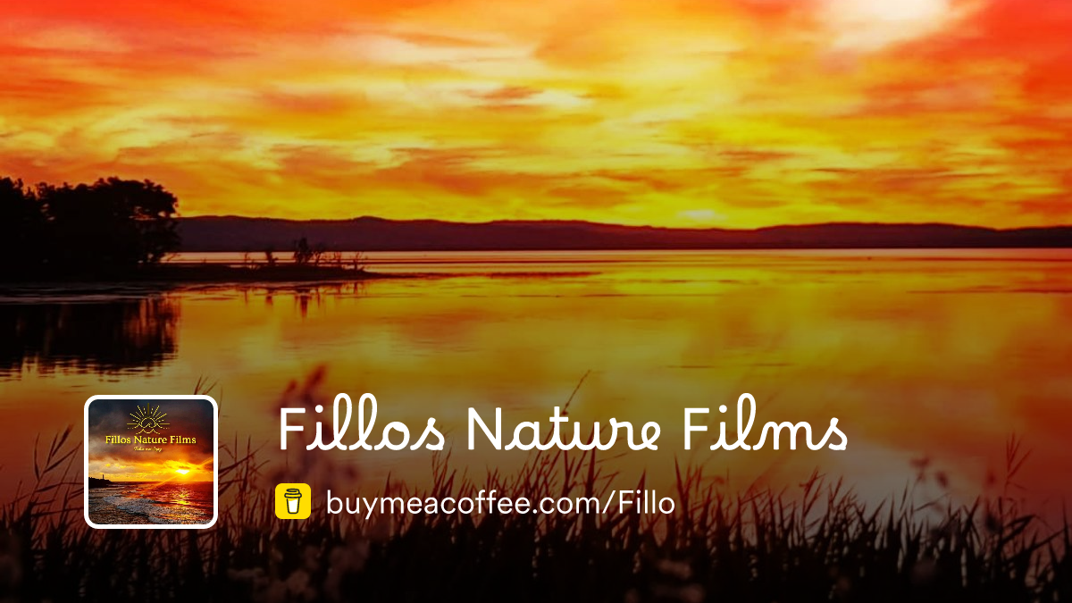 Membership | Fillos Nature Films - Buymeacoffee