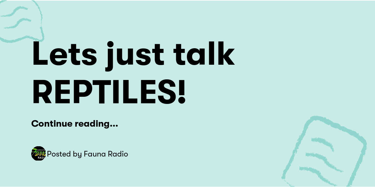 Lets just talk REPTILES! — Fauna Radio - Buymeacoffee