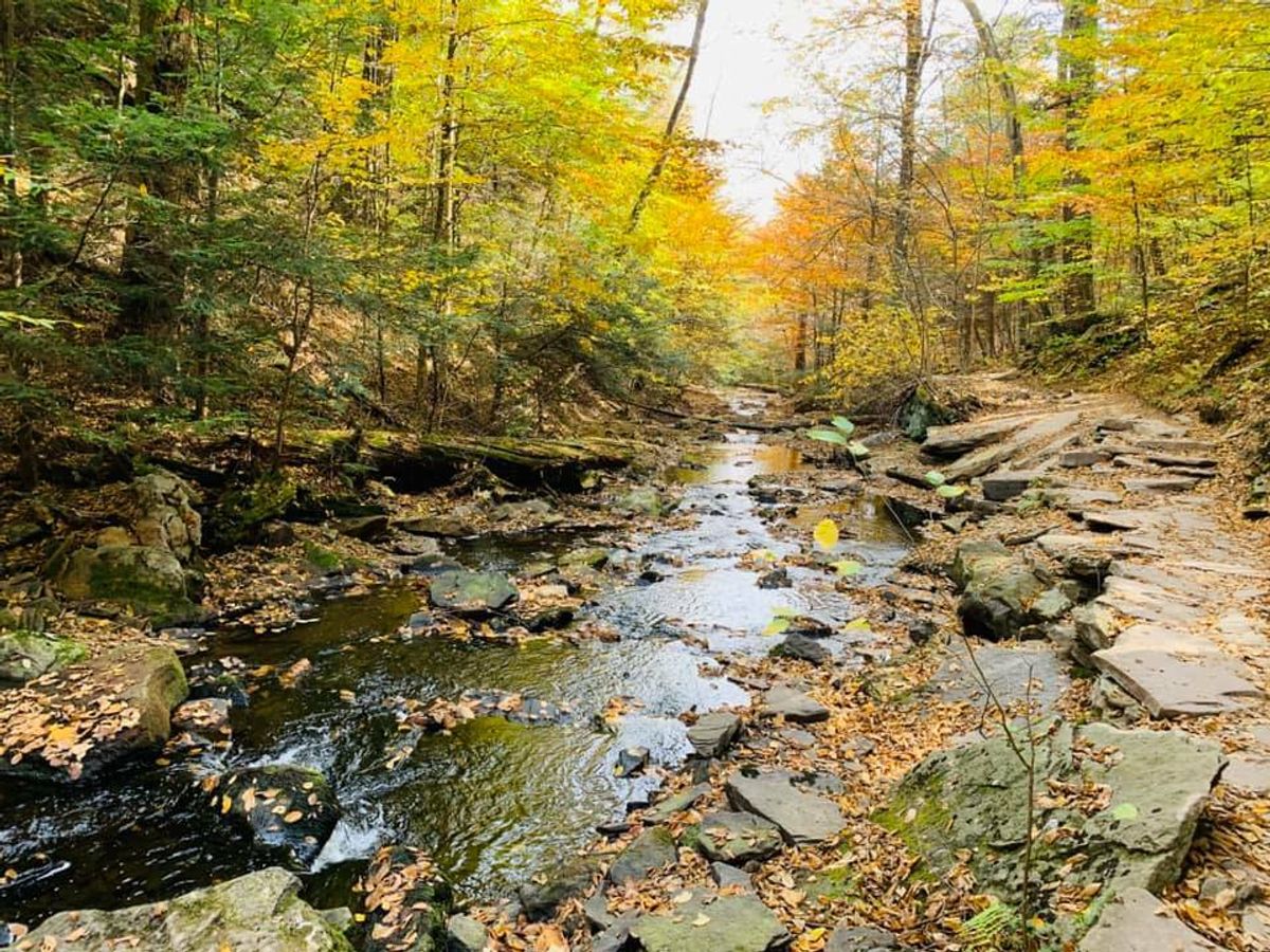 One Day, You'll Know — Houa Lor - Buymeacoffee