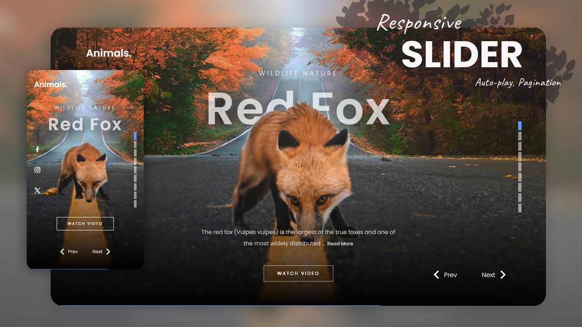 Responsive Image Slider Rightleft And Auto Play Navigation With Pagination Html Css Js