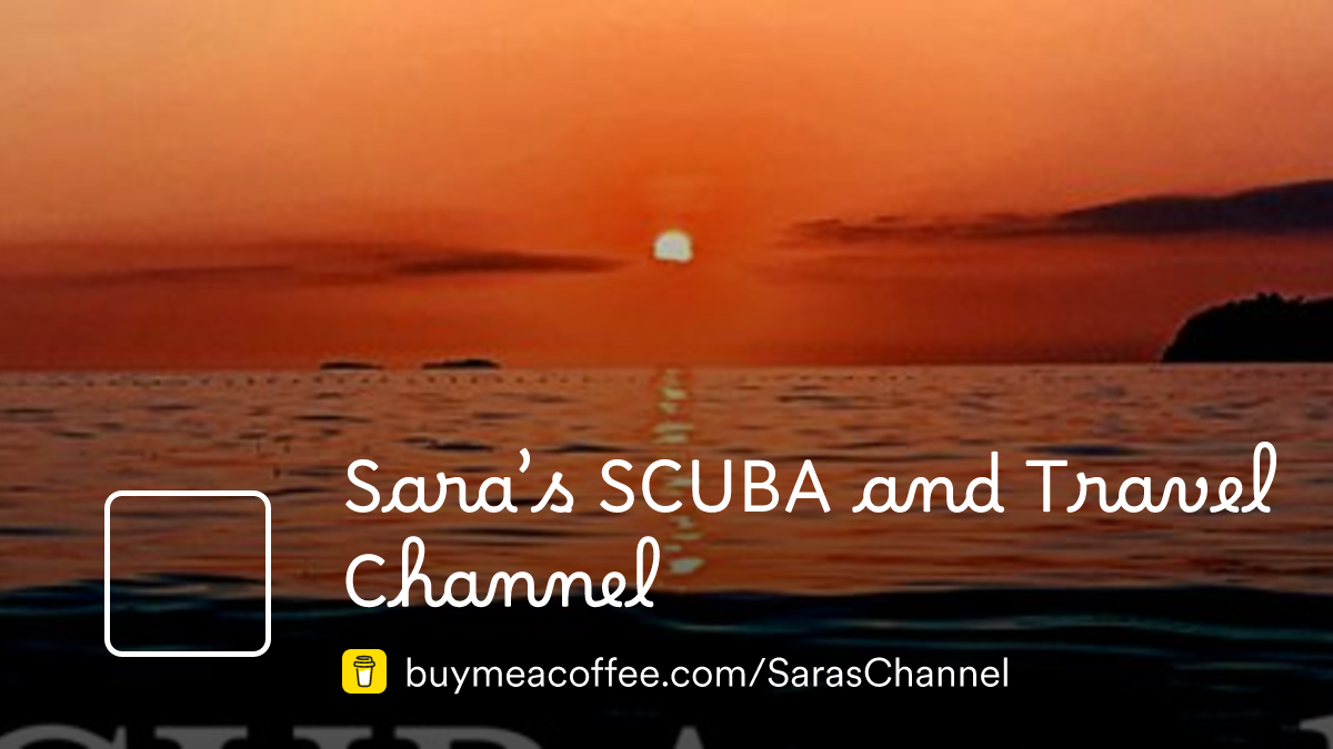 Sara’s SCUBA and Travel Channel is creating YouTube dive and travel ...