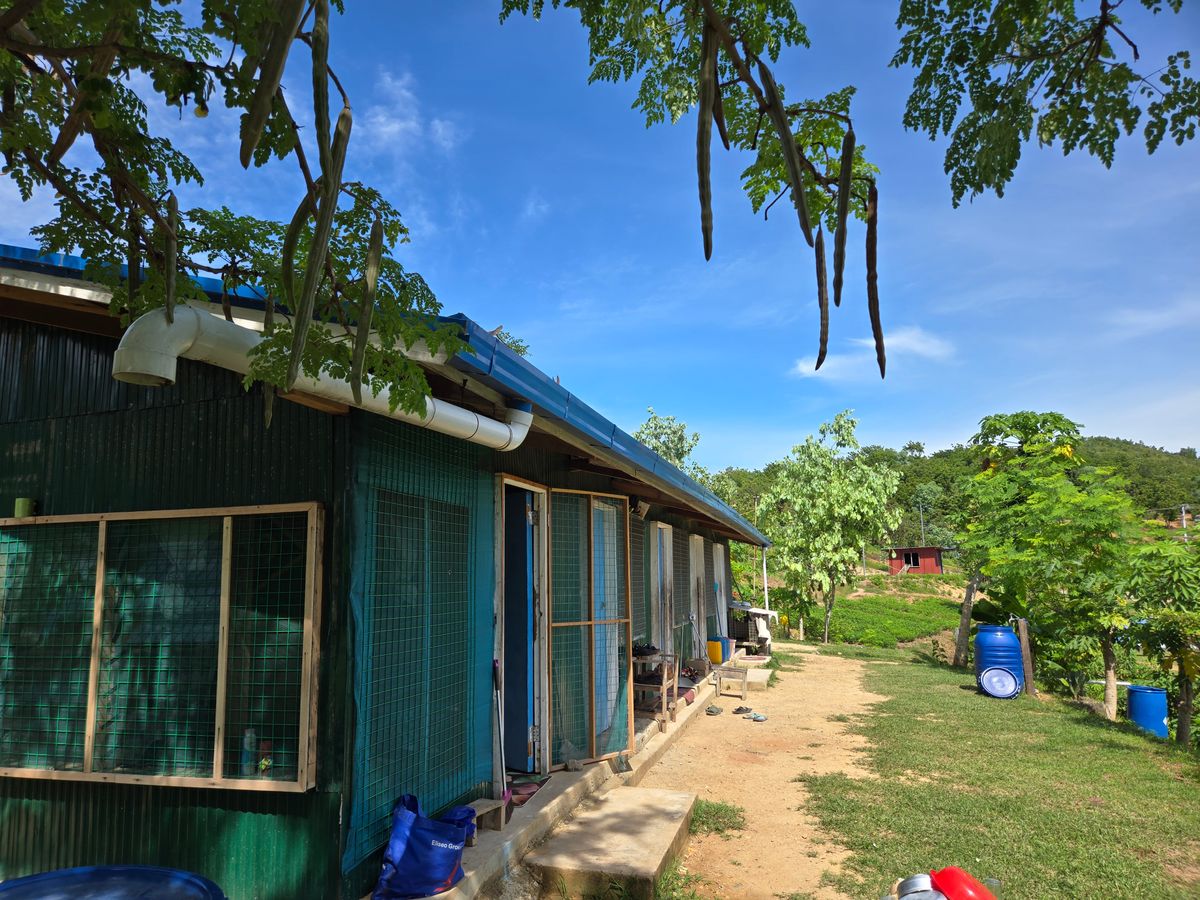 West Papuan Refugees: The Most Neglected and Suppressed Issue — wantoks ...