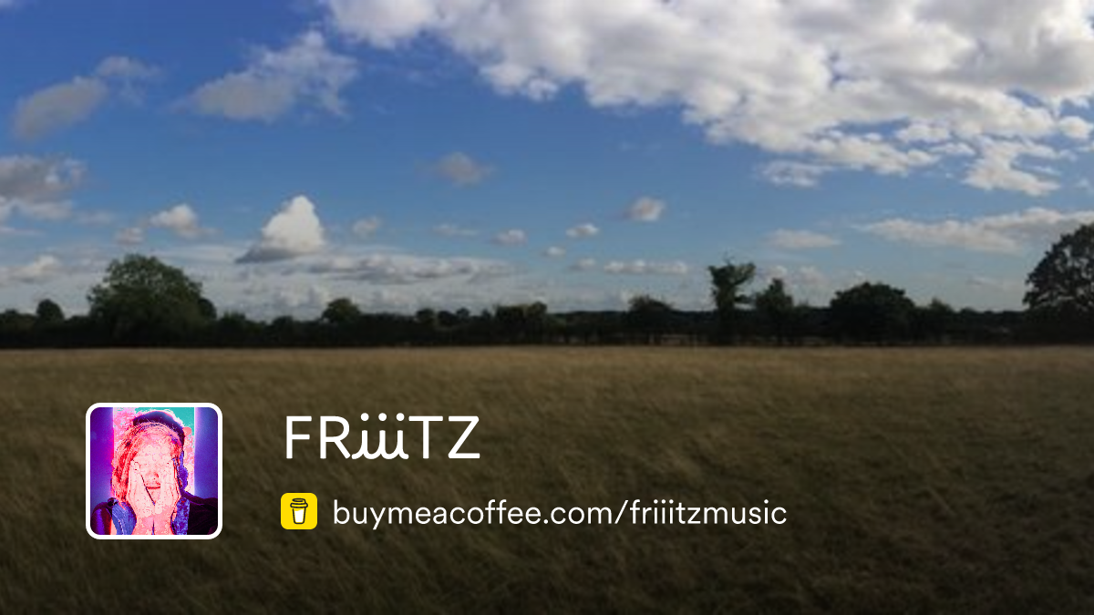 FRiiiTZ is creating music and teaching guitar, composition, production ...