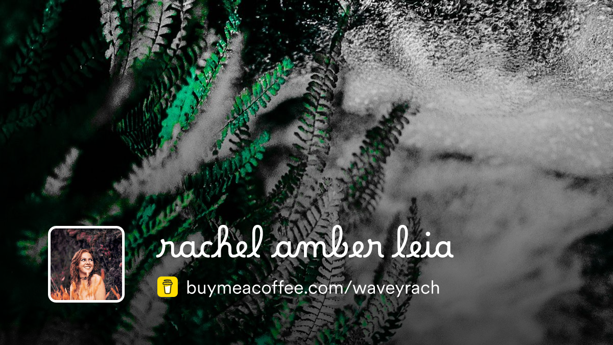 rachel amber leia - Buymeacoffee