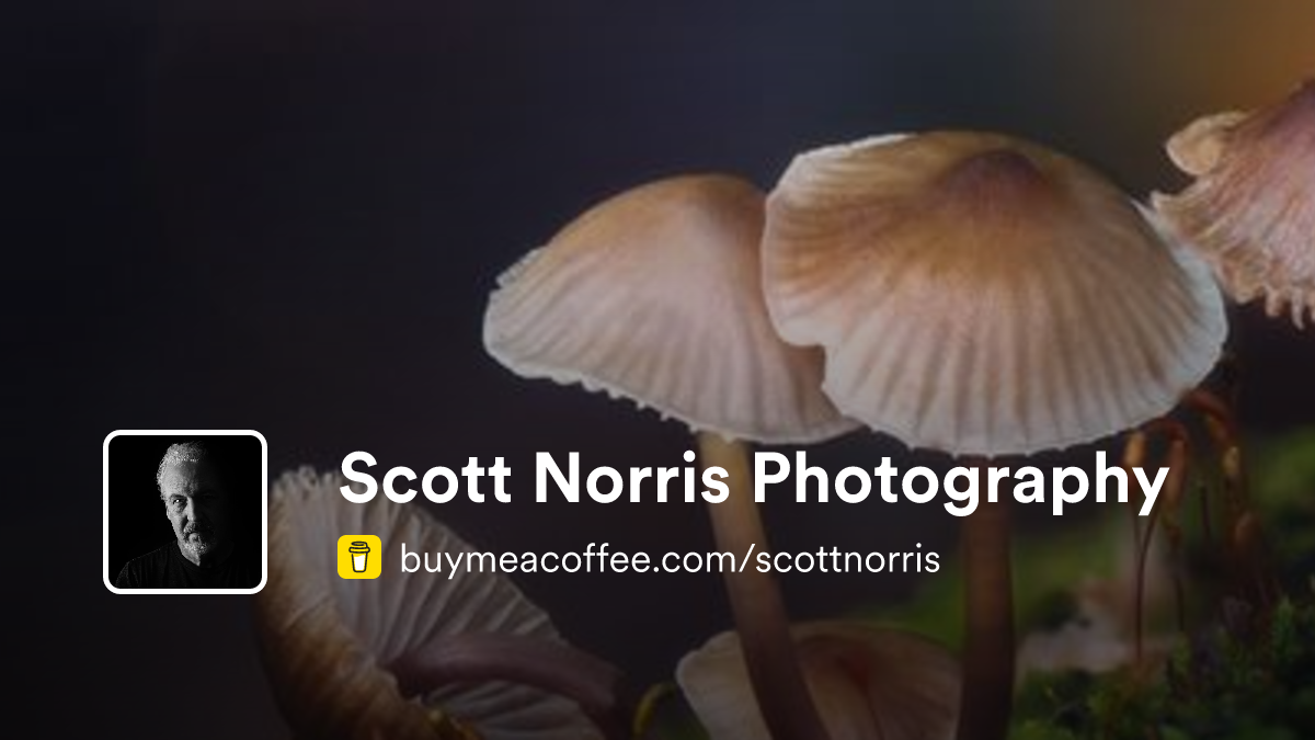Scott Norris Photography is Fine Art Photography - Buymeacoffee