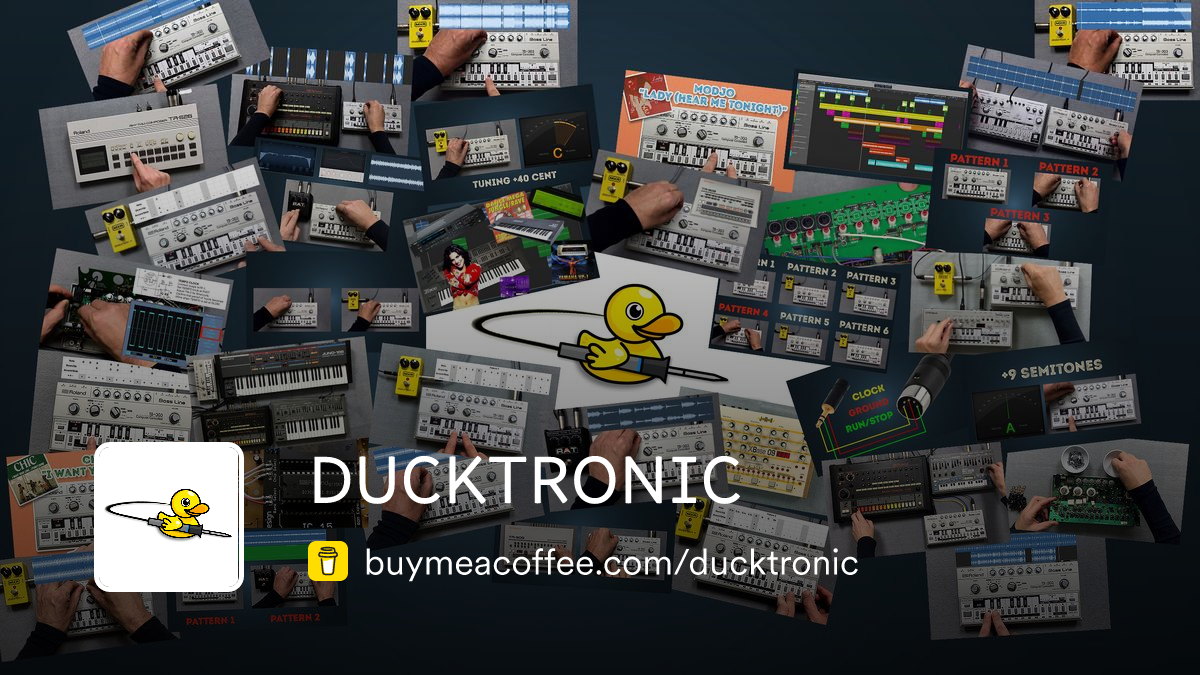 DUCKTRONIC is recreating Roland TB-303 patterns. 🎛👍 - Buymeacoffee