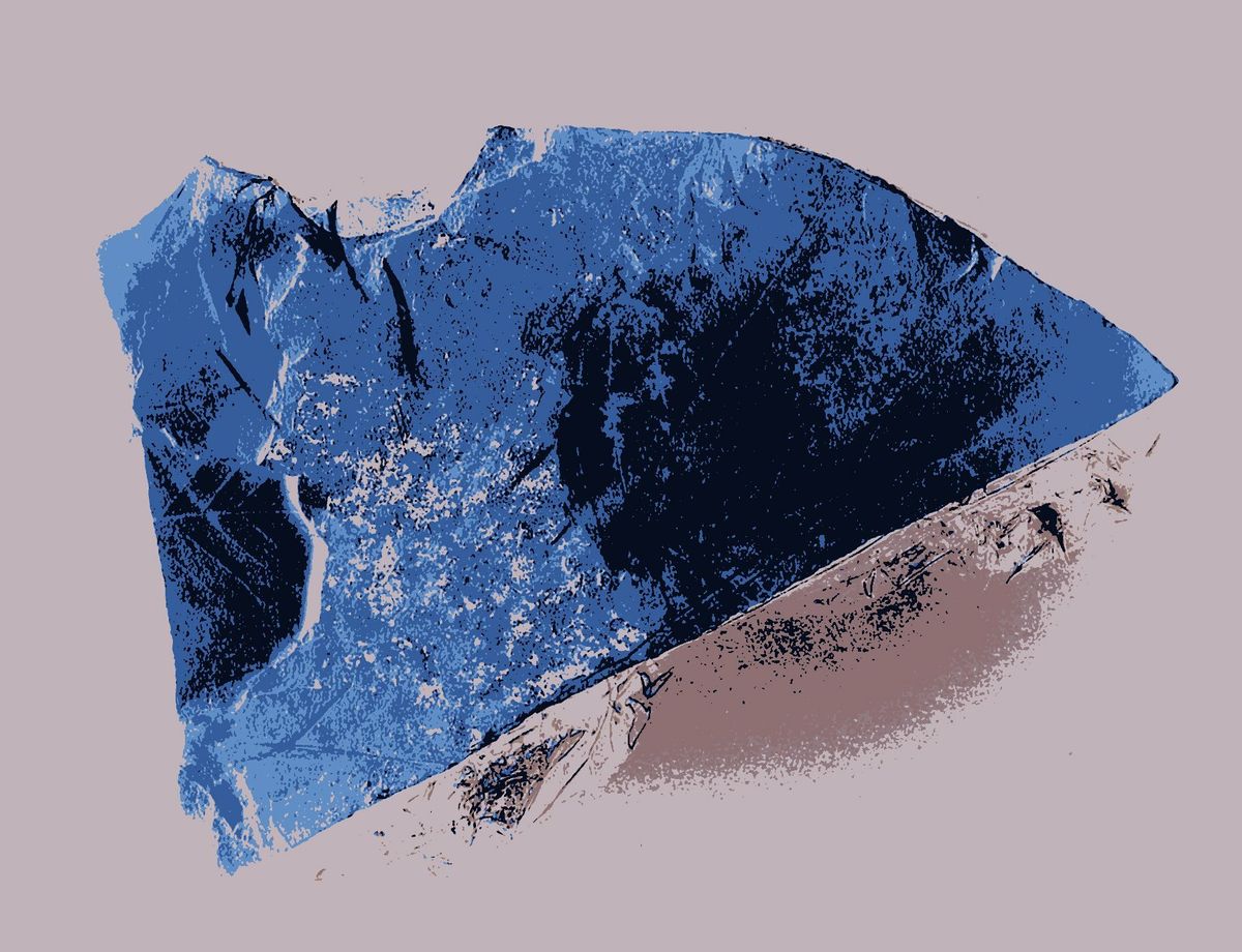 "Fossils" A POEM: ekphrastic art — Julia Laxer - Buymeacoffee