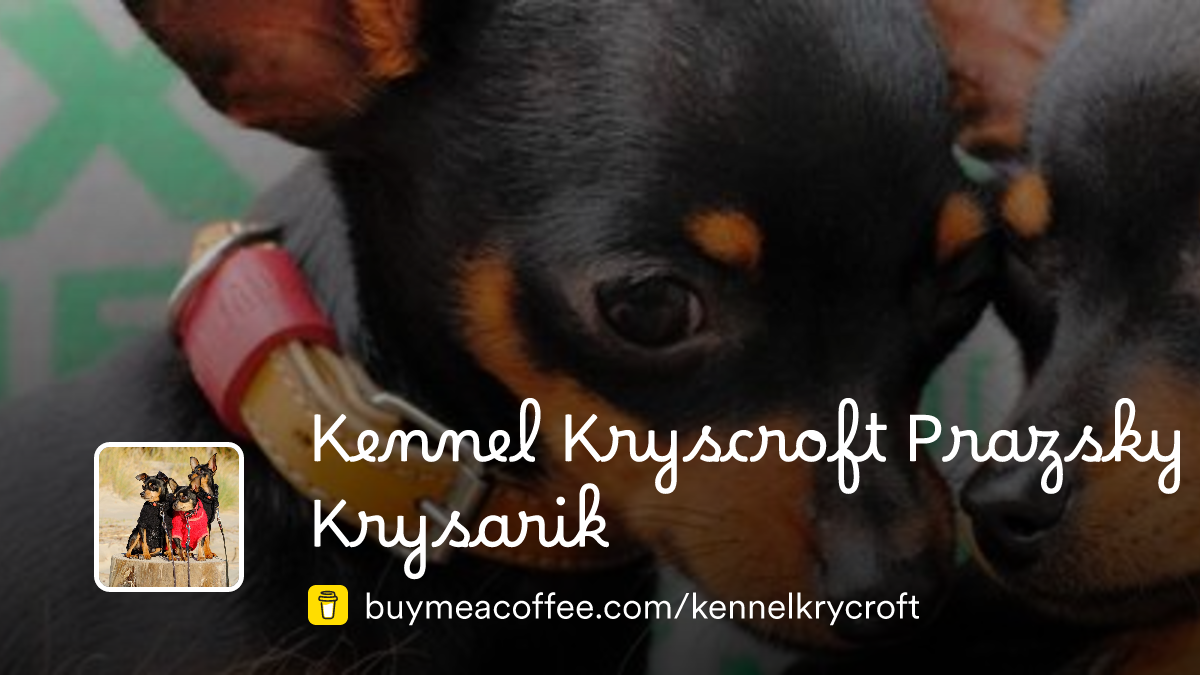 Kennel Kryscroft Prazsky Krysarik is breed beautiful dogs of the ...