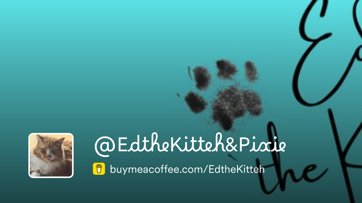 @EdtheKitteh&Pixie is Creative Cat Content, Photography & more. - Buymeacoffee