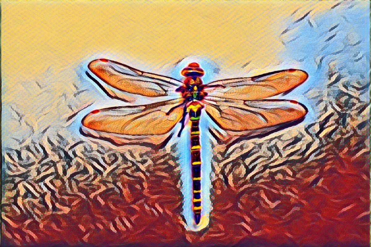 De-Fli #001 — Colton Kizzire - Buymeacoffee