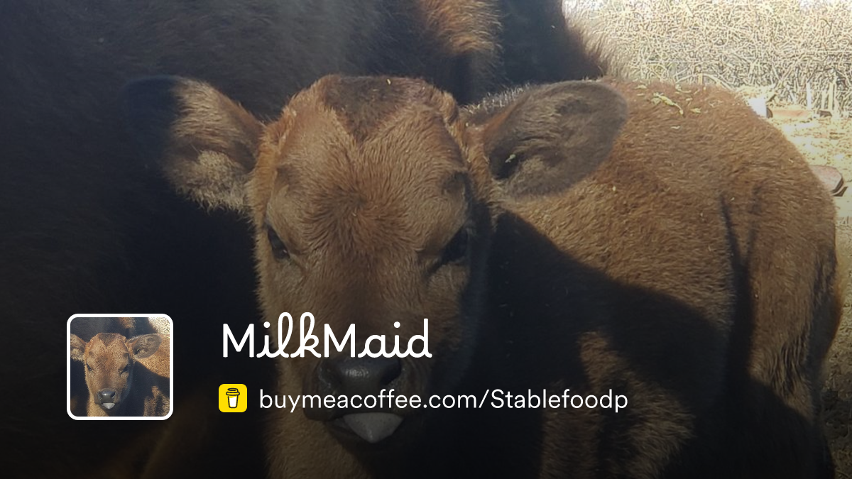 MilkMaid - Buymeacoffee