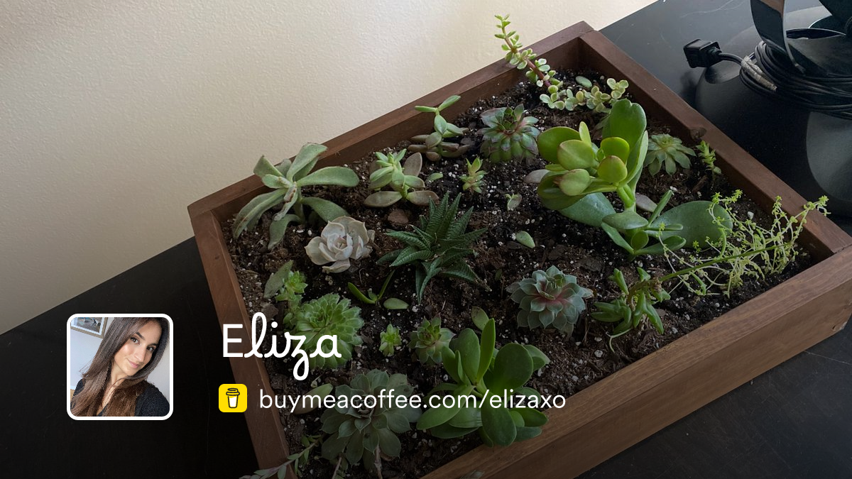 Eliza is simply trying her best - Buymeacoffee