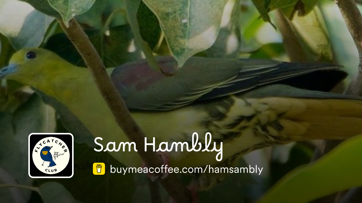 Sam Hambly is Photographing nature and creating birdwatching content on ...