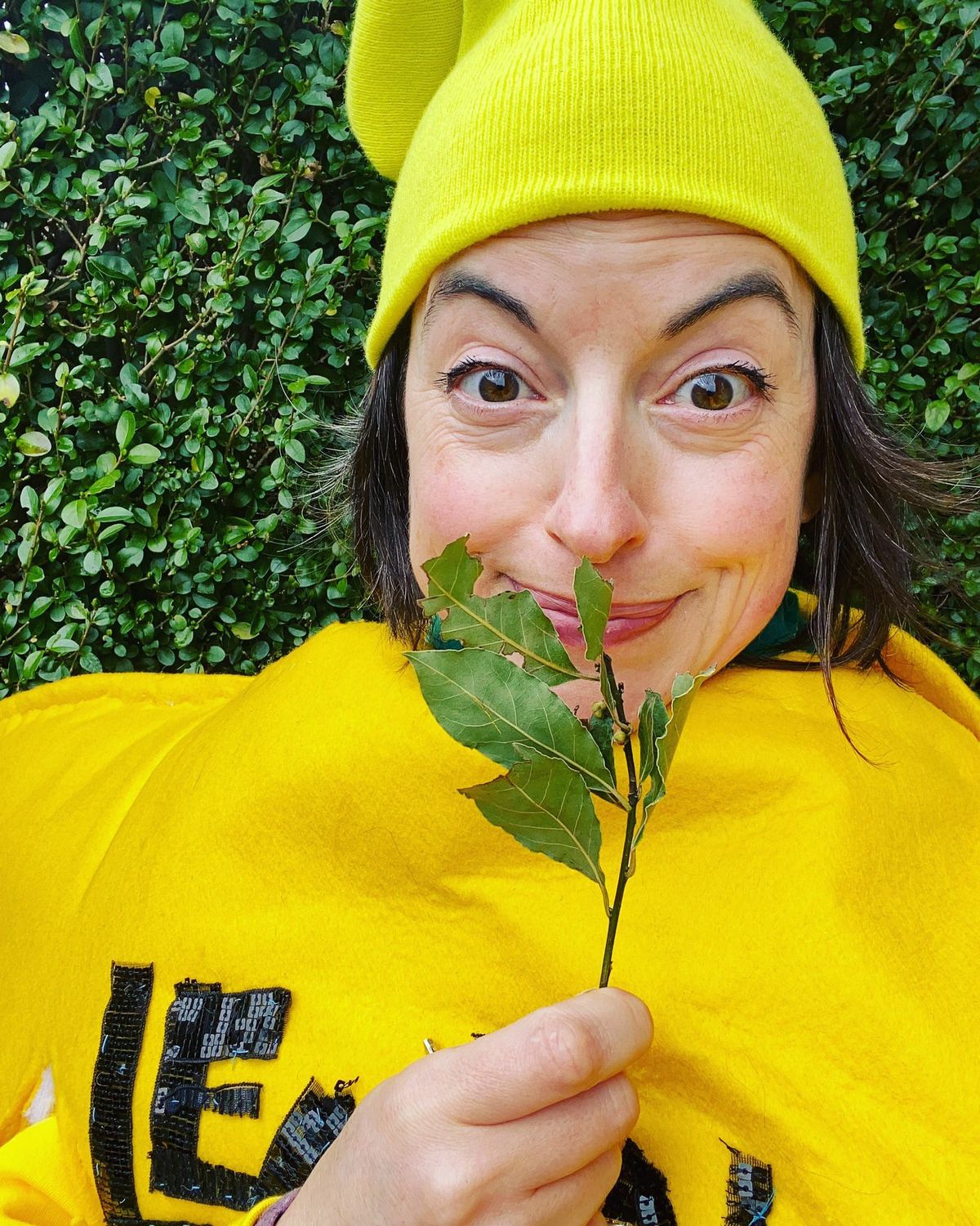 The JOY BUS! Get in! — Kate E. Deeming - Buymeacoffee