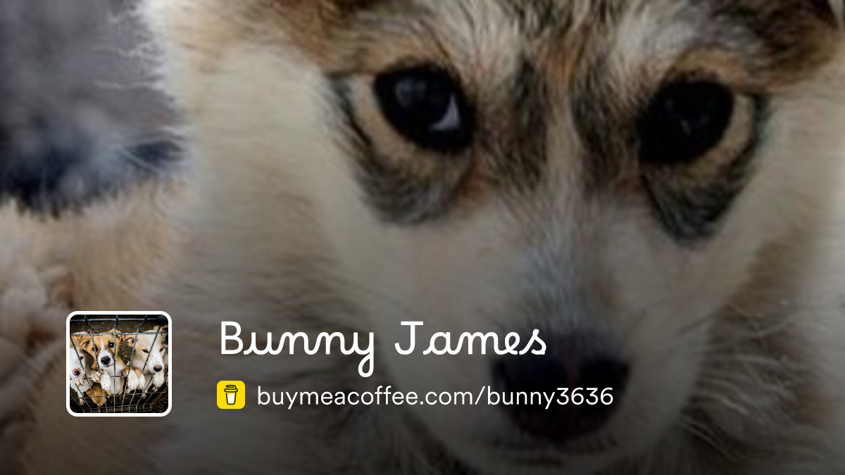 Membership | Bunny James - Buymeacoffee
