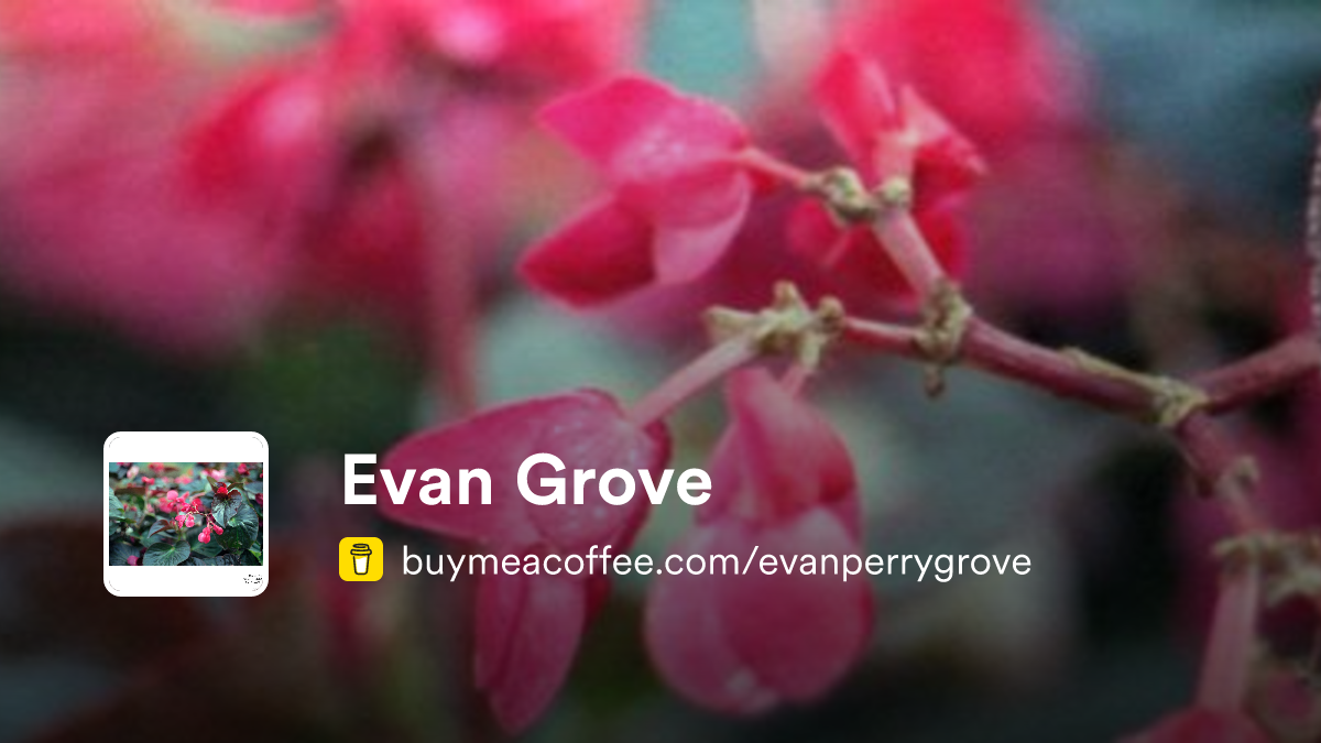 Evan Grove is Writing about electronics, software, and life. - Buymeacoffee