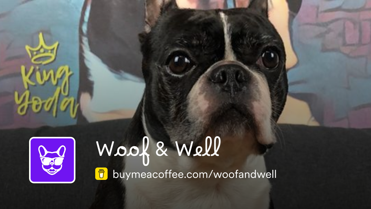 Woof & Well is creating YouTube videos - Buymeacoffee