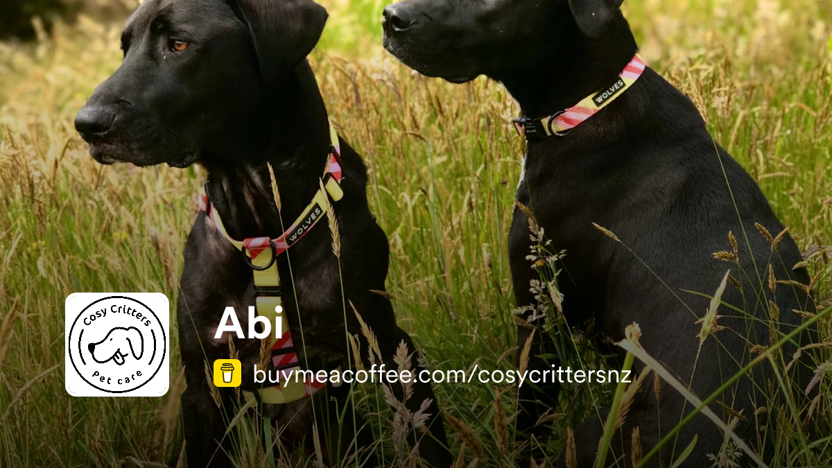 Abi - Buymeacoffee