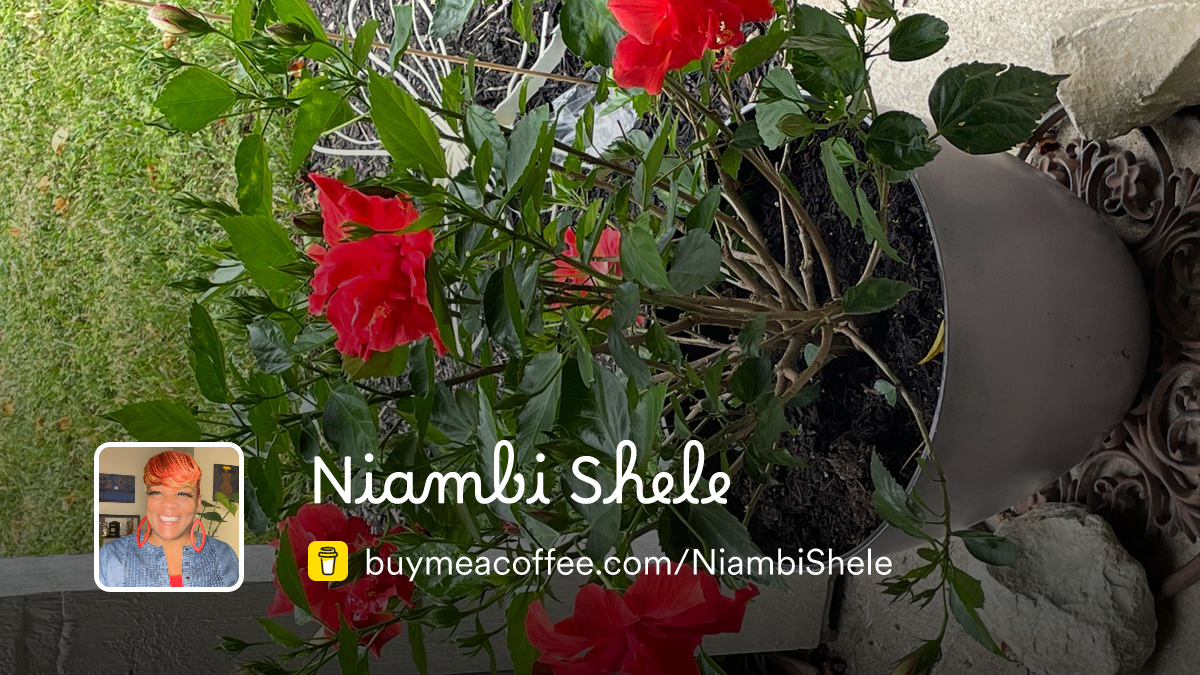 Niambi Shele - Buymeacoffee