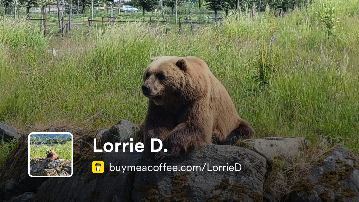 Lorrie D. - Buymeacoffee