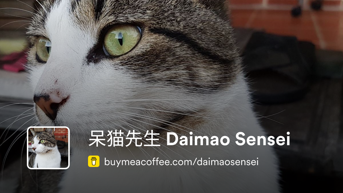 呆猫先生 Daimao Sensei - Buymeacoffee