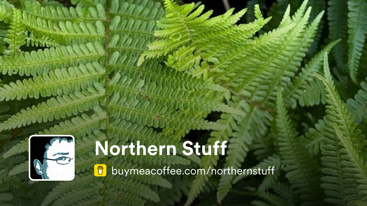 Northern Stuff is Videos, photography, games - Buymeacoffee