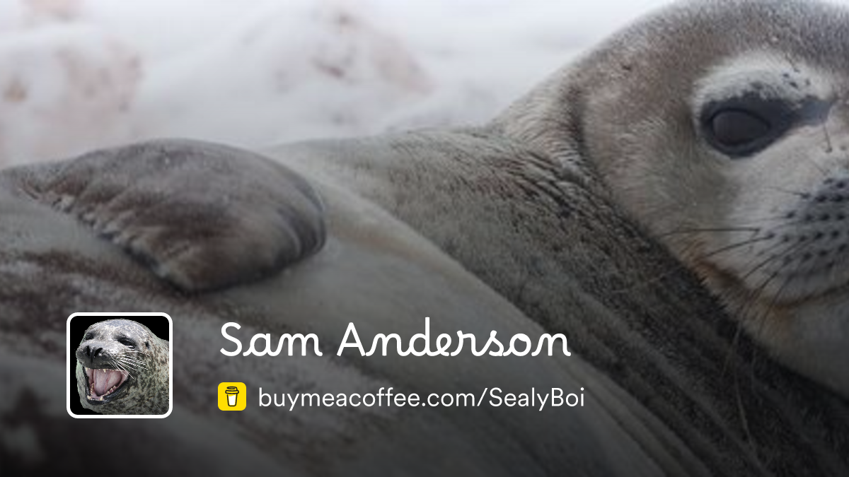 Sam Anderson - Buymeacoffee