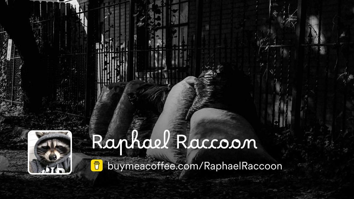 Raphael Raccoon is living a trash ass life 🦝 - Buymeacoffee