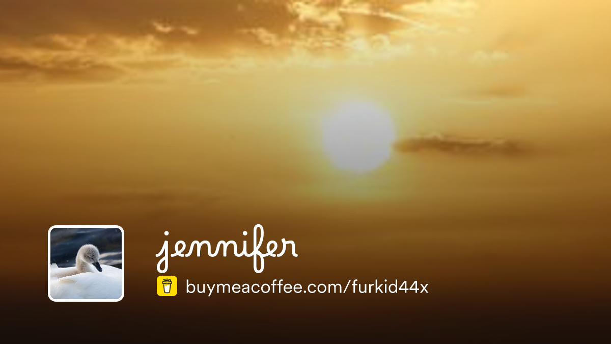 Gallery | jennifer - Buymeacoffee