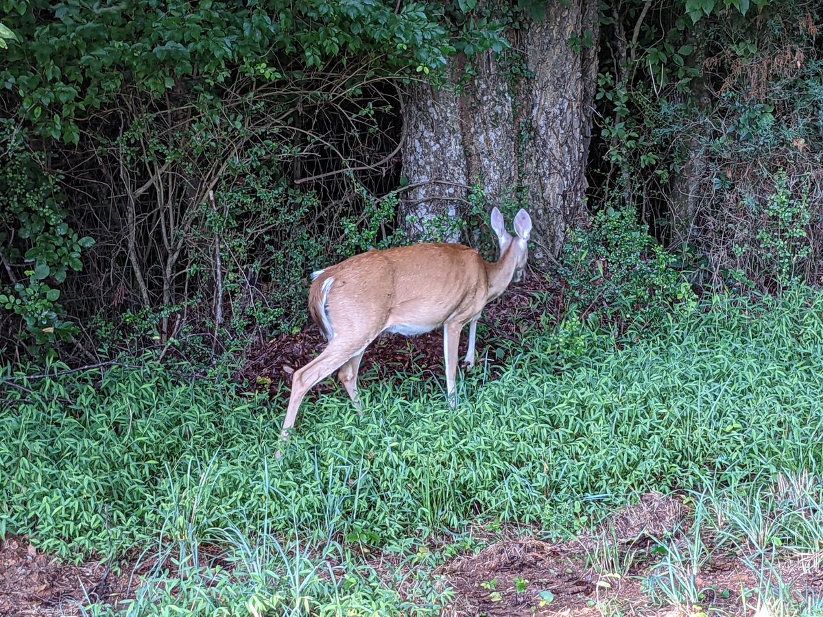 Unique encounter — Classic ASMR - Buymeacoffee