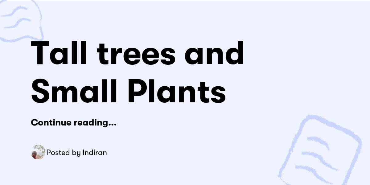 Tall trees and Small Plants — Indiran - Buymeacoffee