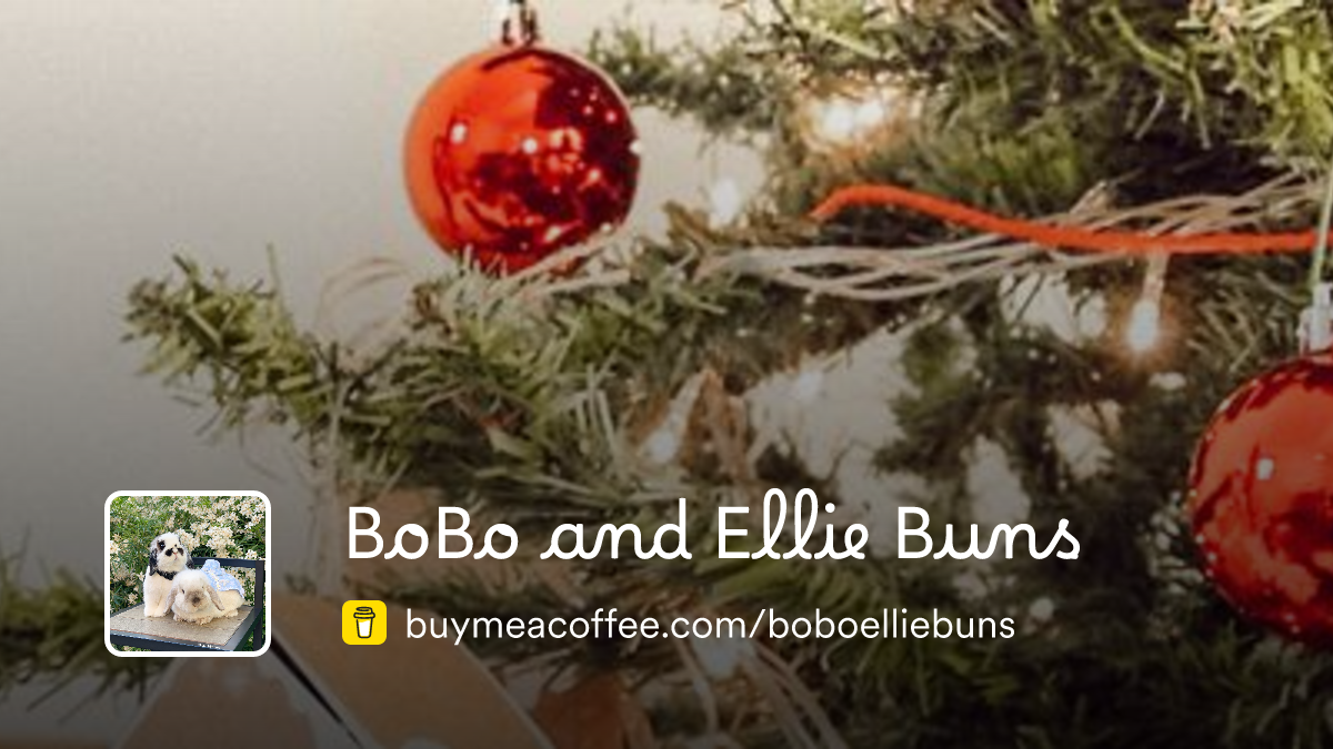 BoBo and Ellie Buns is spreading joy and happiness to everyone ...