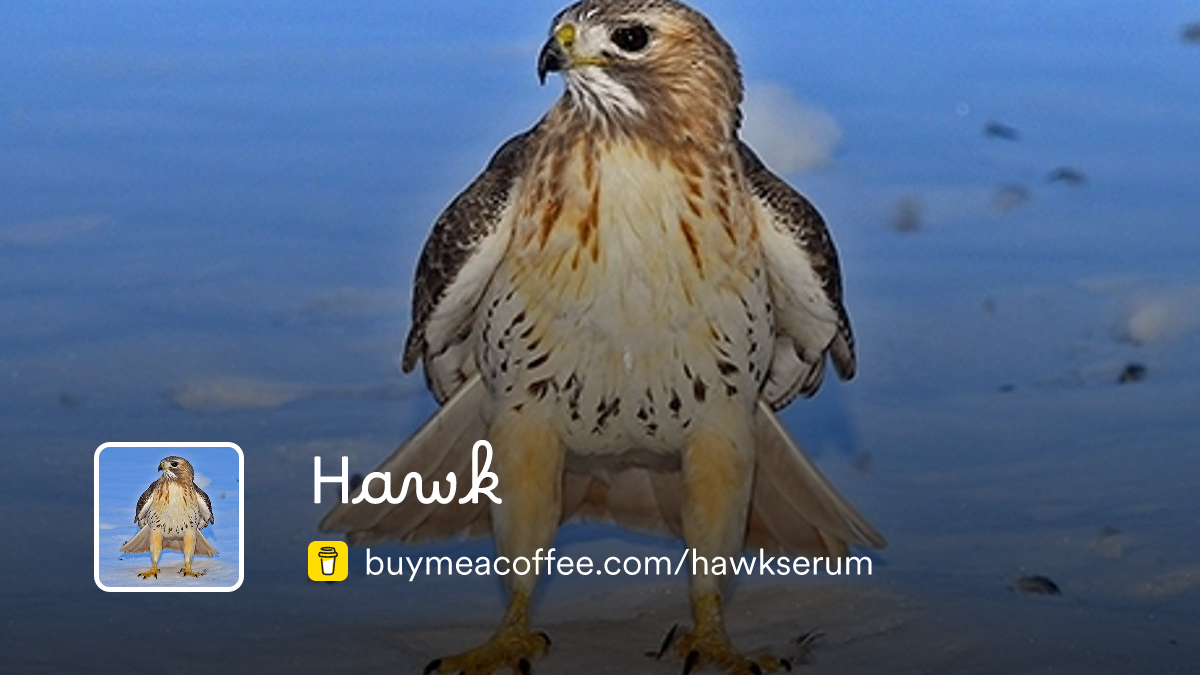 Hawk - Buymeacoffee