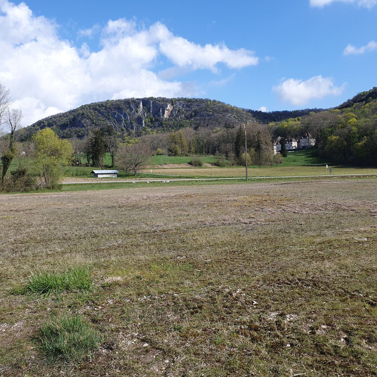 A savage first day. — gary short - Buymeacoffee