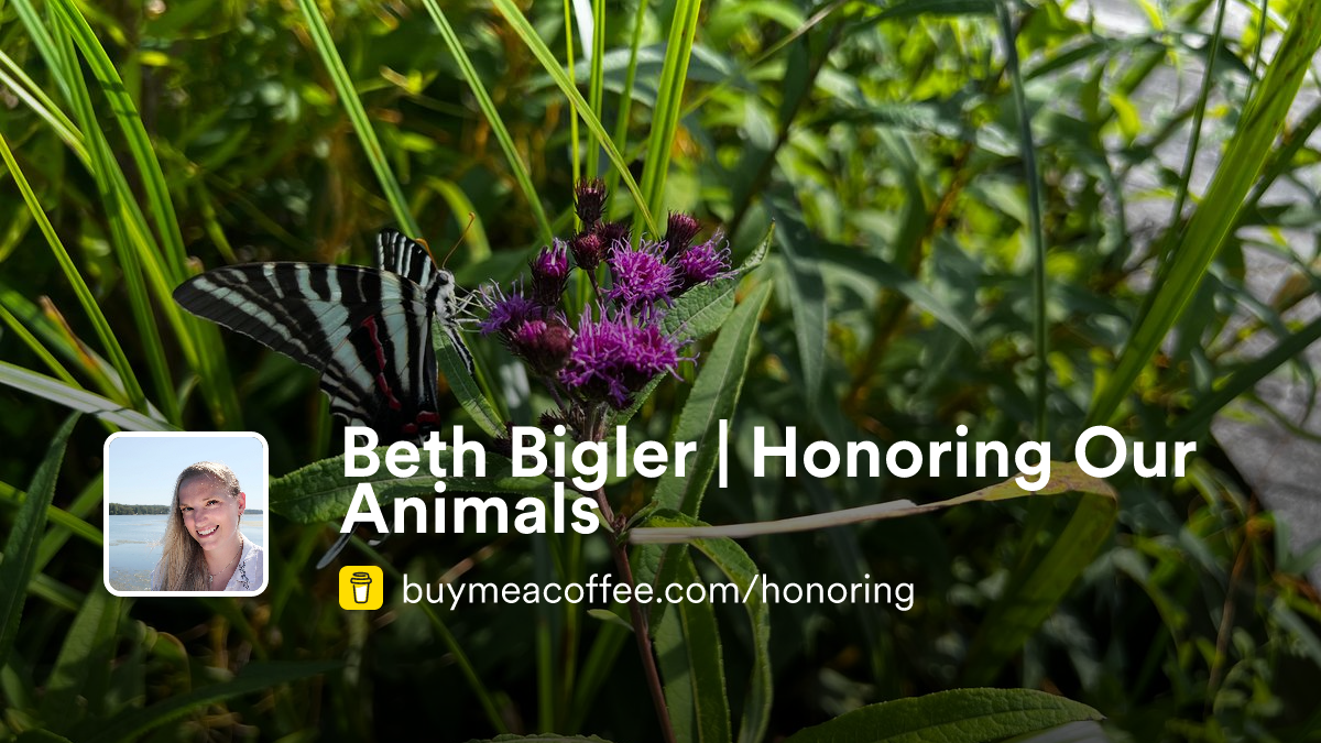 Beth Bigler | Honoring Our Animals is helping grieving pet guardians ...