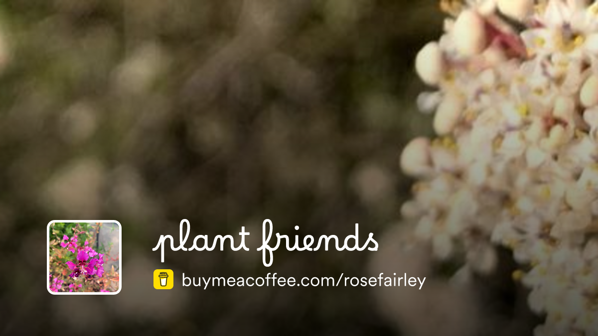 plant friends is fostering connections among plants & people for ...