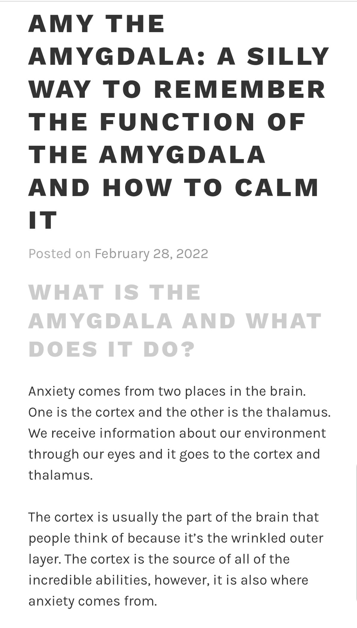Amy The Amygdala: A silly way to remember the function of the amygdala ...