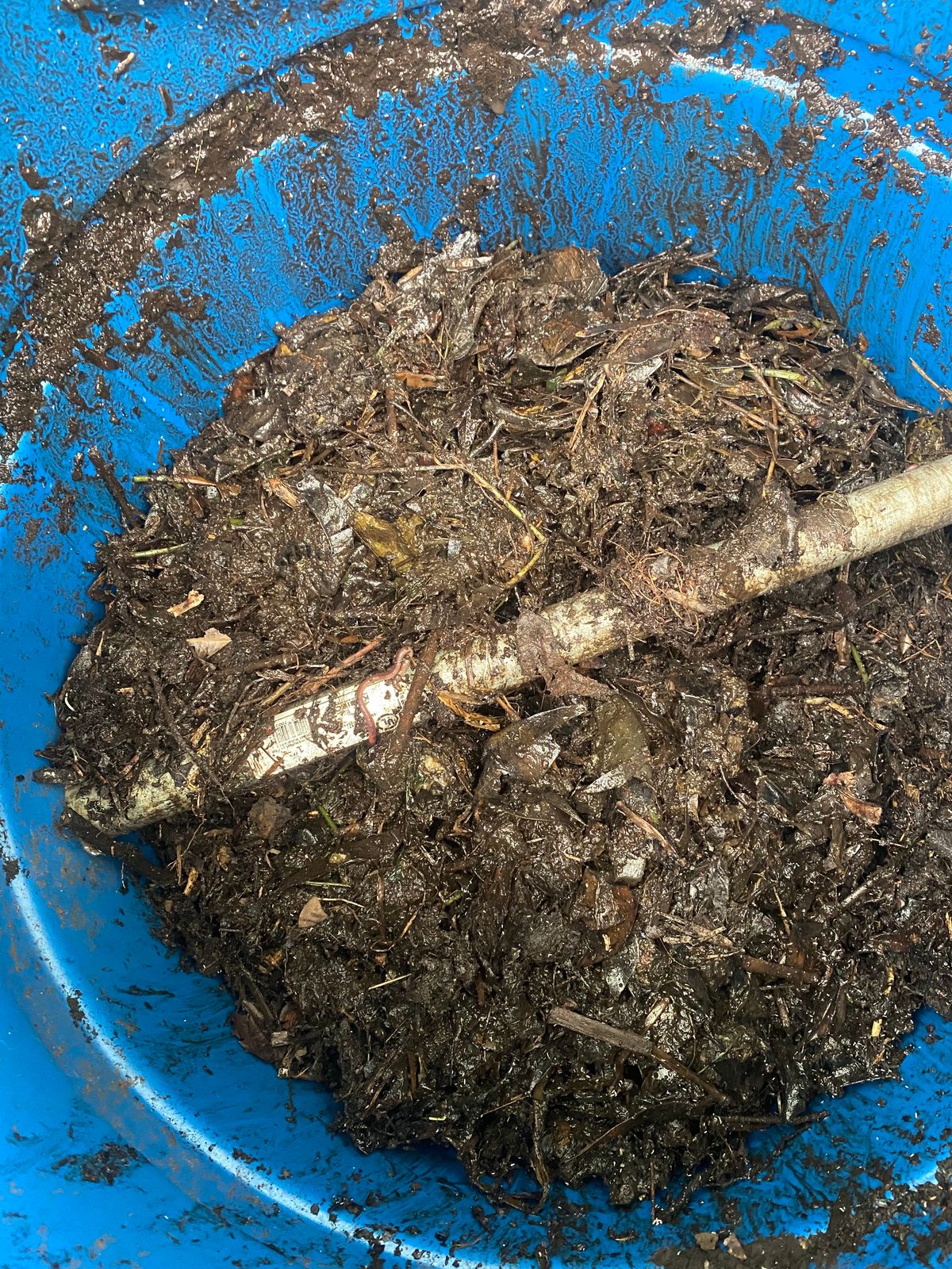 Worm Farm Barrel Set Up - Granada - Cundinamarca, Colombia — Laica ...
