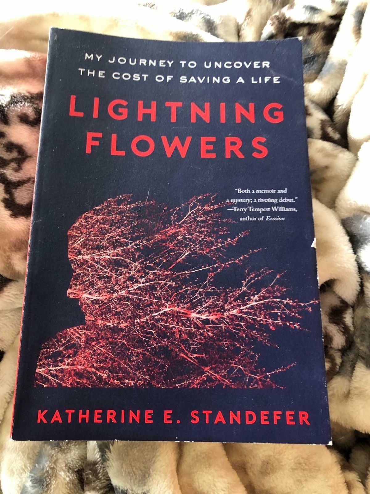 Review of Lightning Flowers: My Journey to Uncover the Cost of Saving a ...