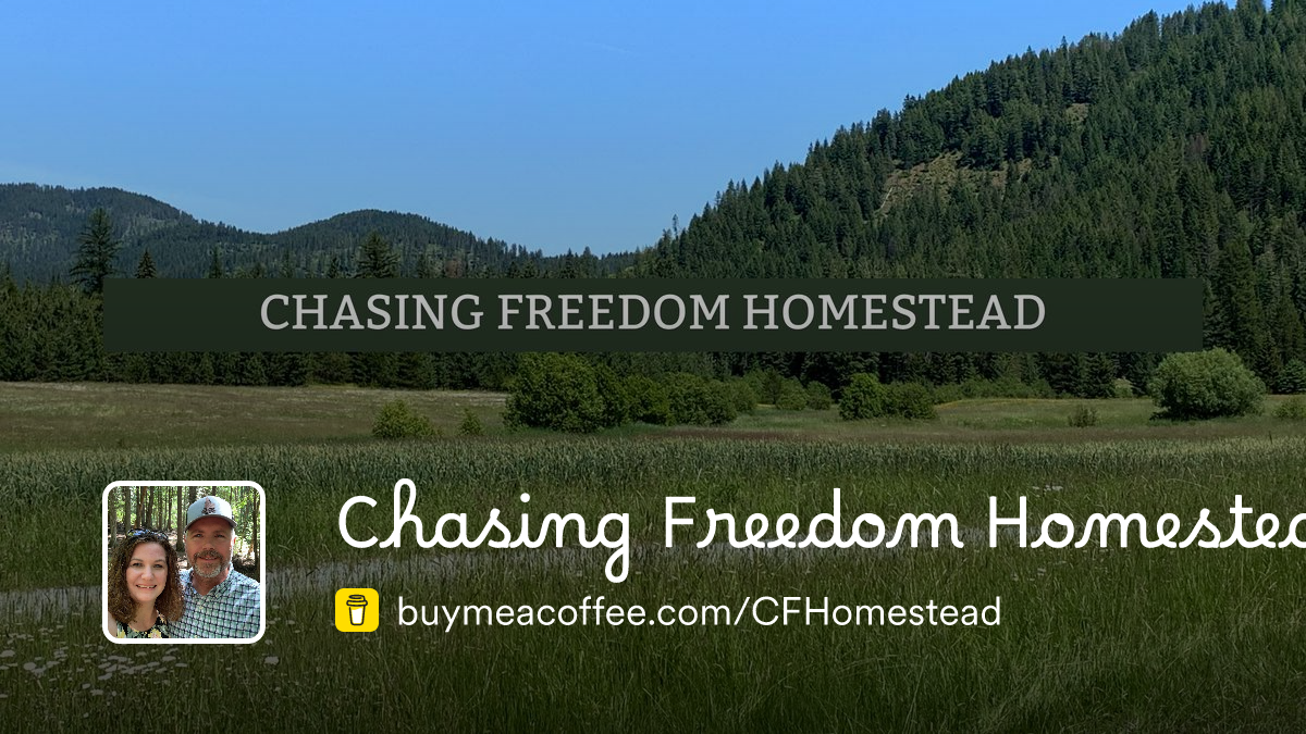 Chasing Freedom Homestead - Buymeacoffee