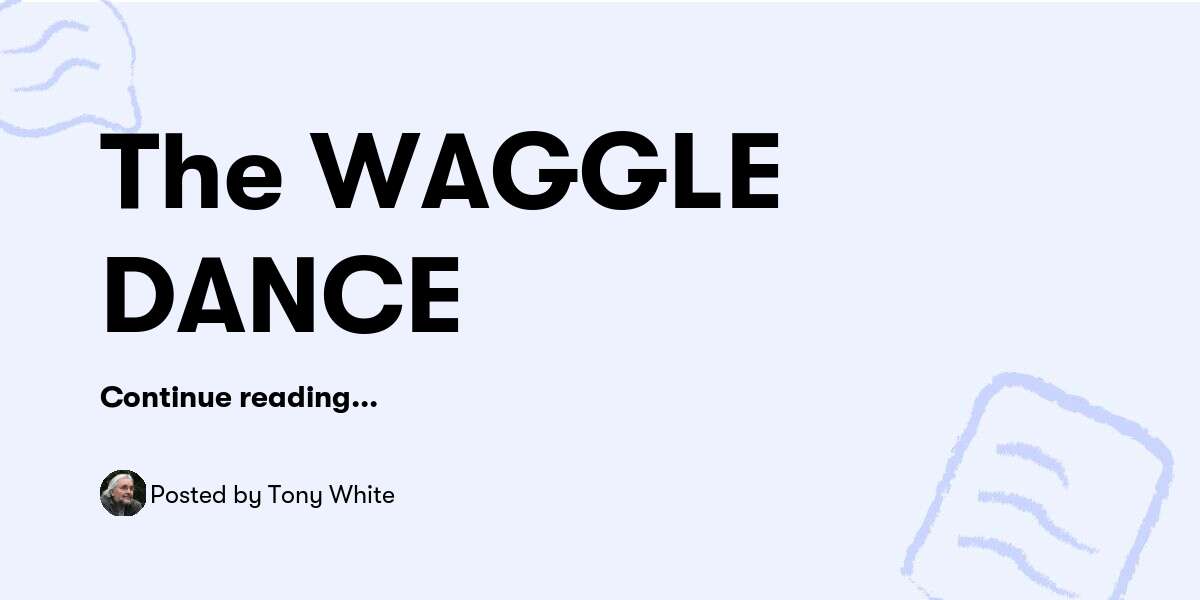 The WAGGLE DANCE — Tony White - Buymeacoffee